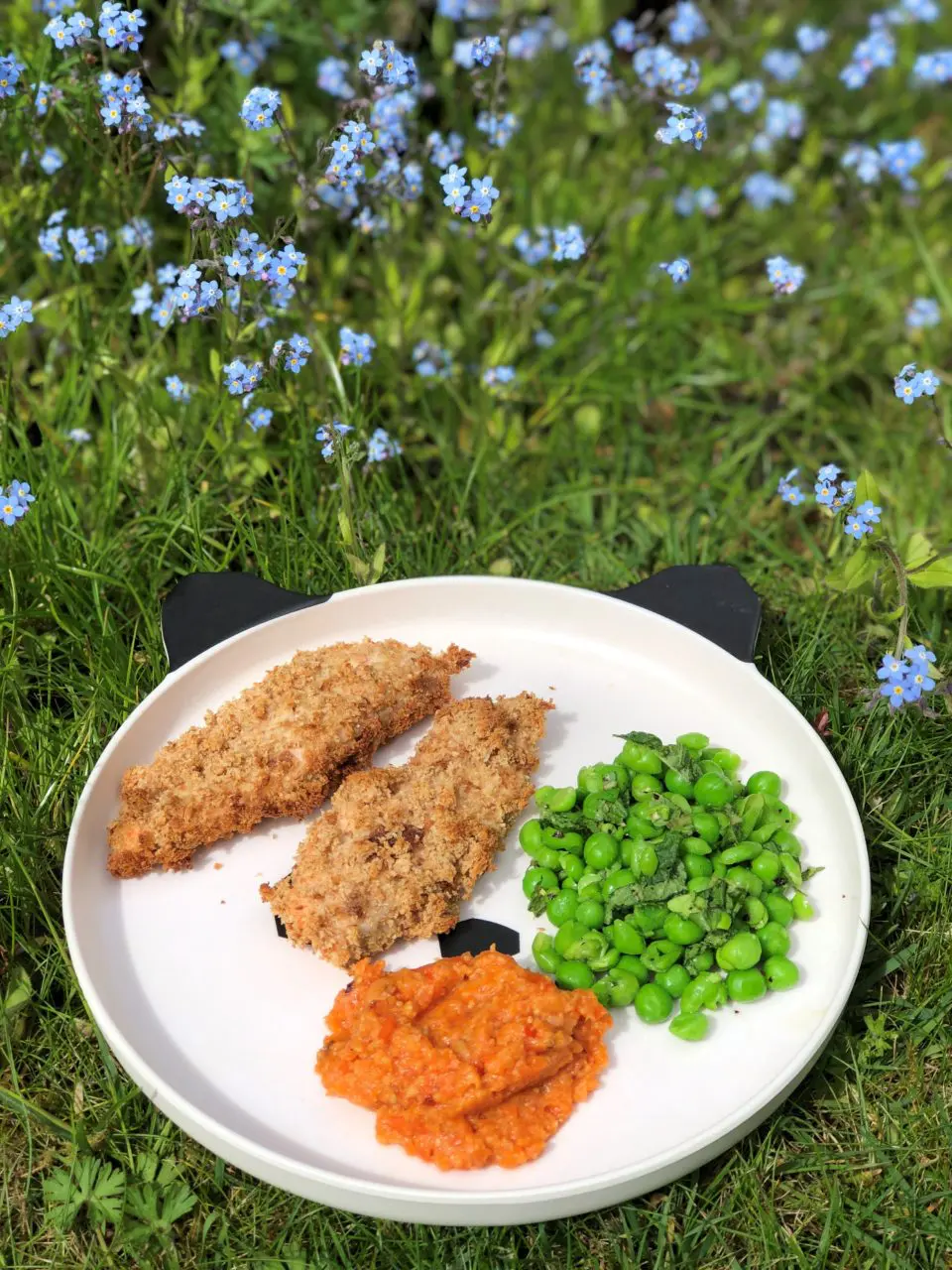 Fish Recommendations For Babies and Toddlers