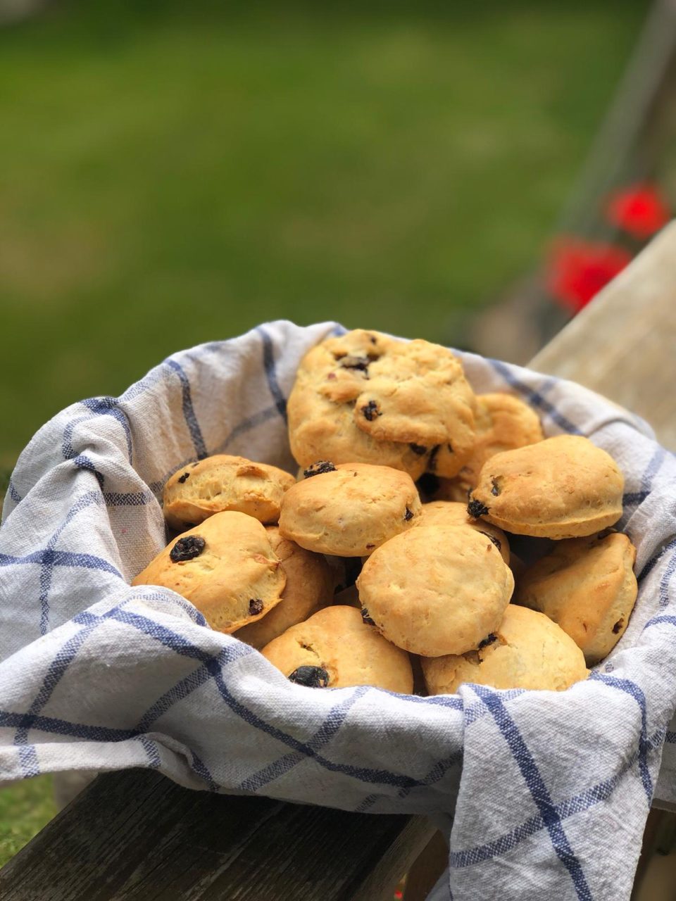 Baby Scone Recipe - Healthy Scone Recipe - SR Nutrition