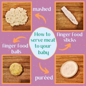How and When Should I Offer My Baby Meat? SR Nutrition